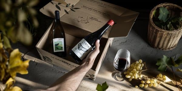 Les Étapes de la Vinification : Comment Fait-on le Vin